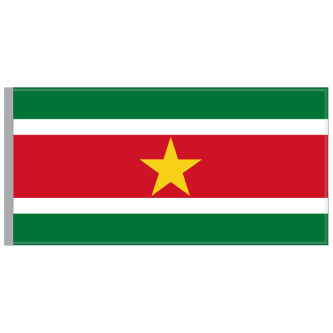 Suriname - Fox Flags