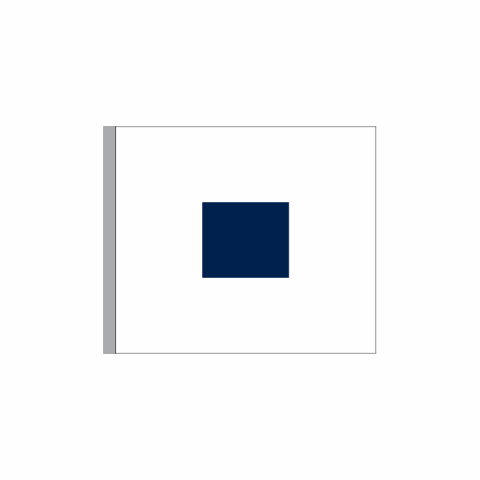 Code Flag - Code S (GOING ASTERN) - FoxFlags